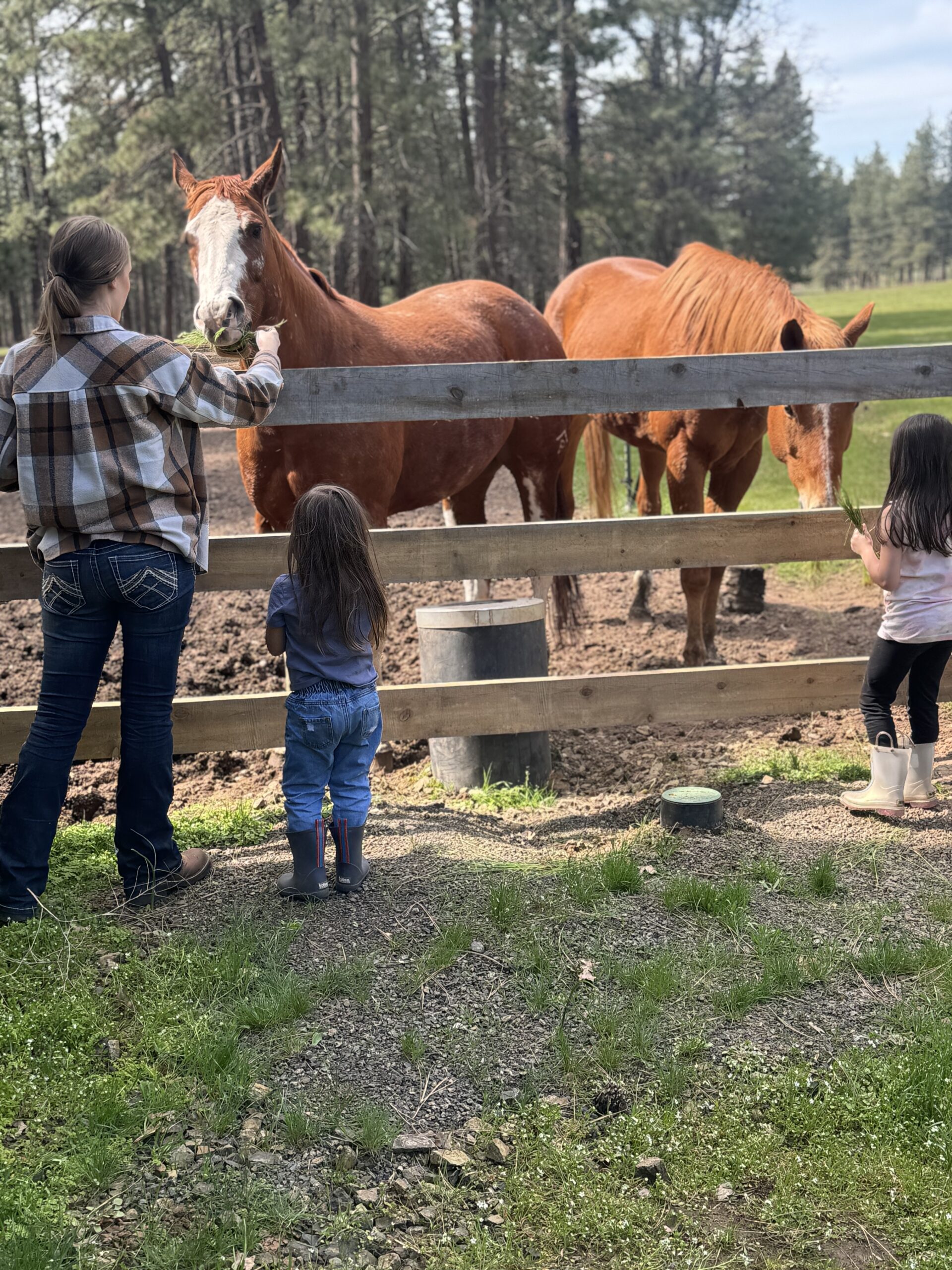 Fuentes Family Homestead